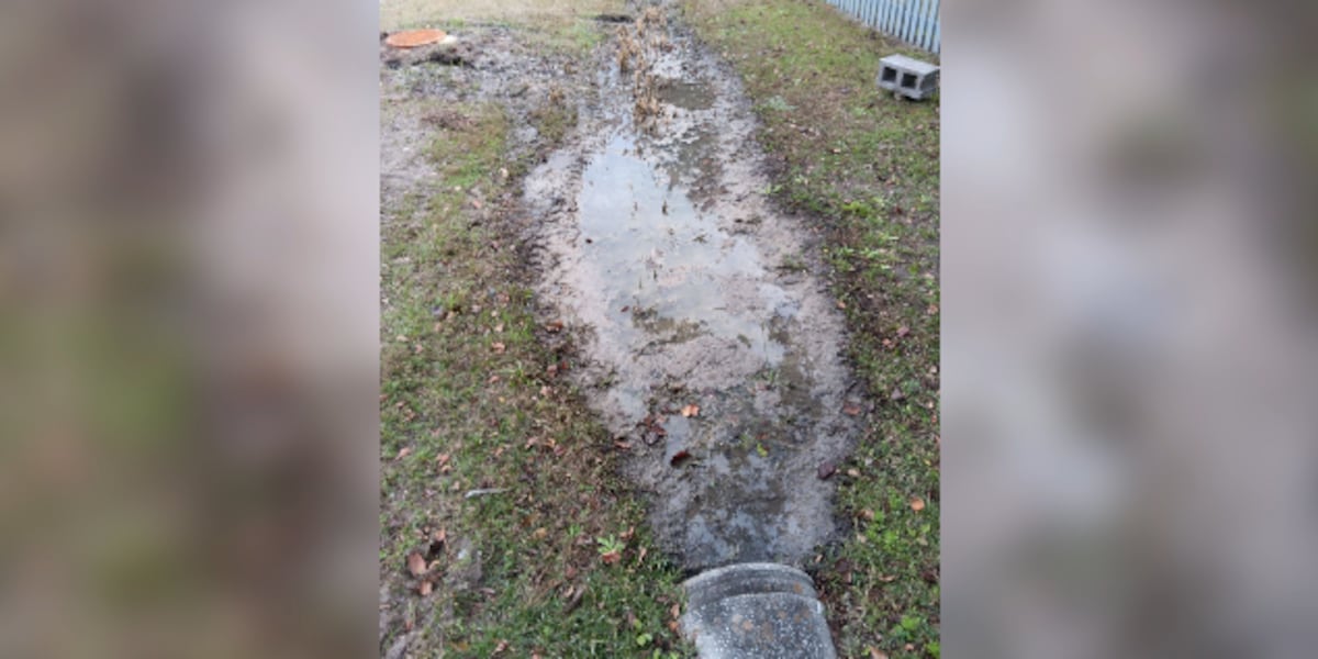 Liberty County residents asking for help after sewage spill Liberty County residents asking for help after sewage spill